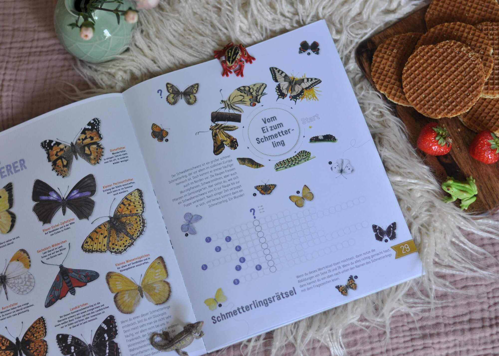 Mitmachbuch: Natur entdecken & verstehen