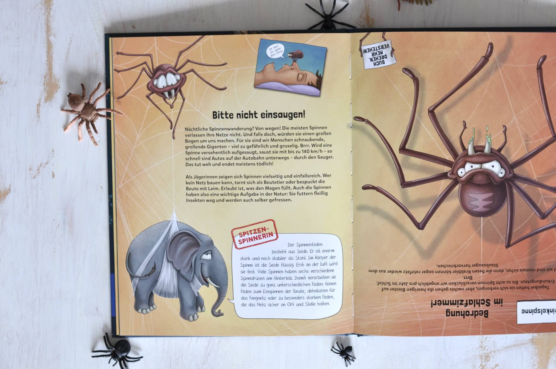 Fiese Viecher: Tierische Vorurteile über Ratte, Wespe & Co. vermeiden