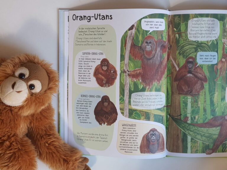 Das Affen-Buch: Zu Besuch bei Primaten aus aller Welt