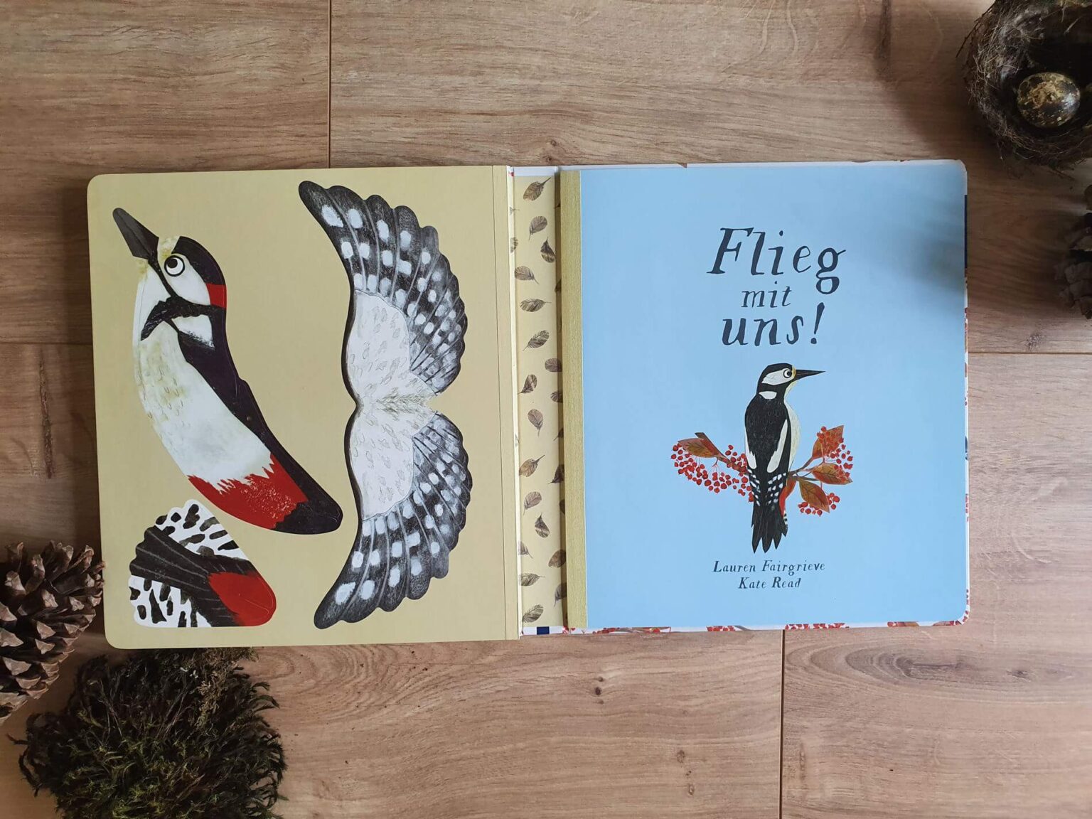 Vögel bestimmen, basteln und aufhängen: Flieg mit uns!