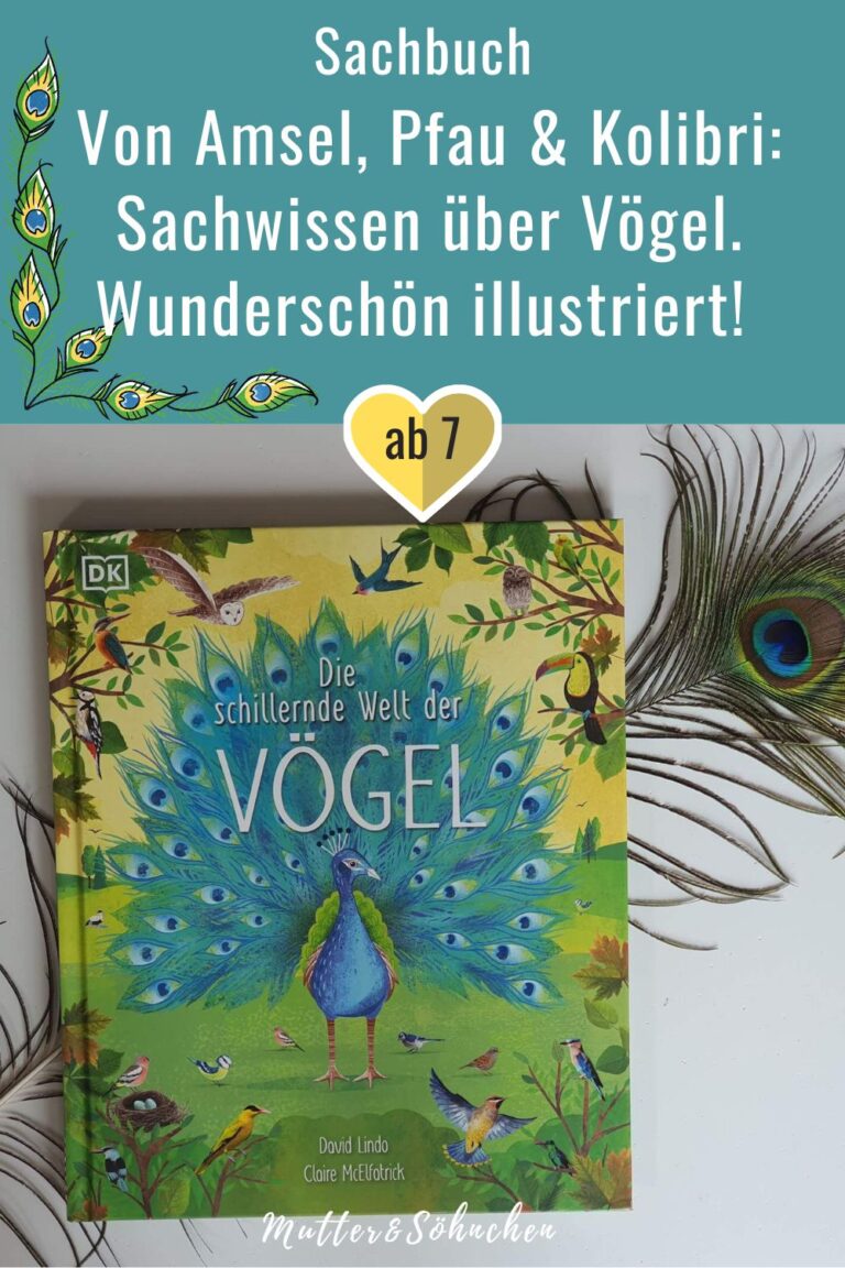 Vogel-Sachbuch: Die schillernde Welt der Vögel
