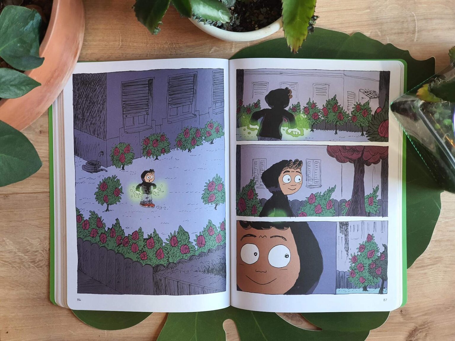 Kindercomic: Timothy Top - Der magische grüne Daumen