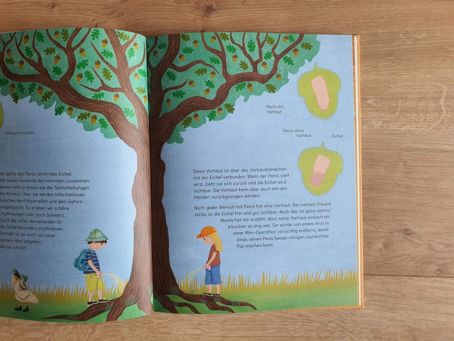 Feinfühlige Aufklärung: Luca und Lumi lernen sich kennen