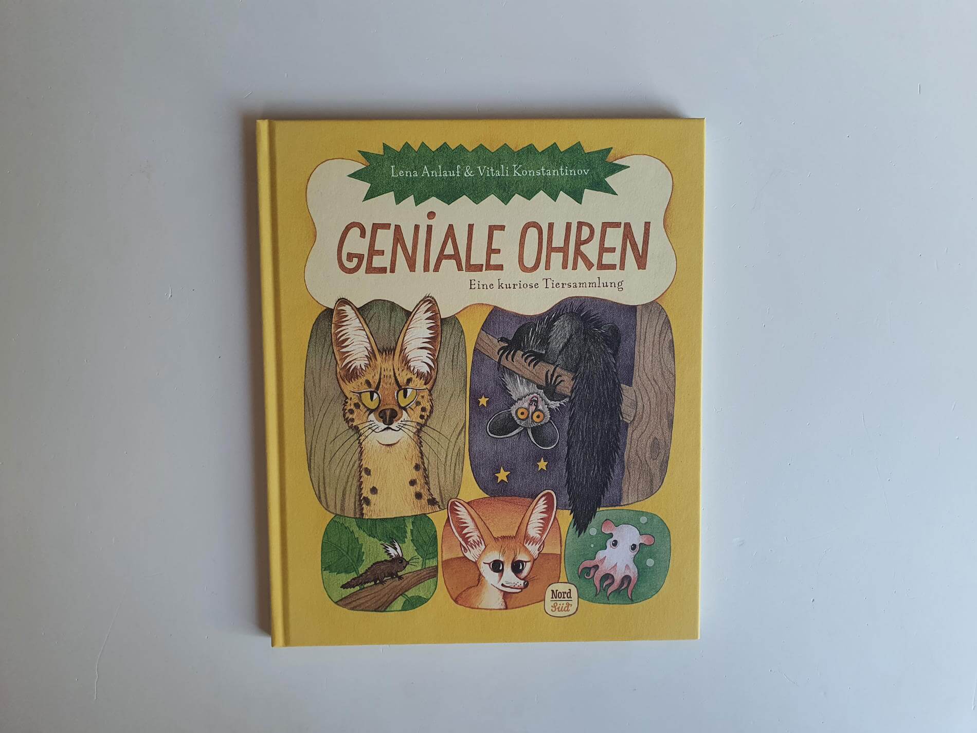 Geniale Ohren: Die coolsten Lauscher aus der Tierwelt