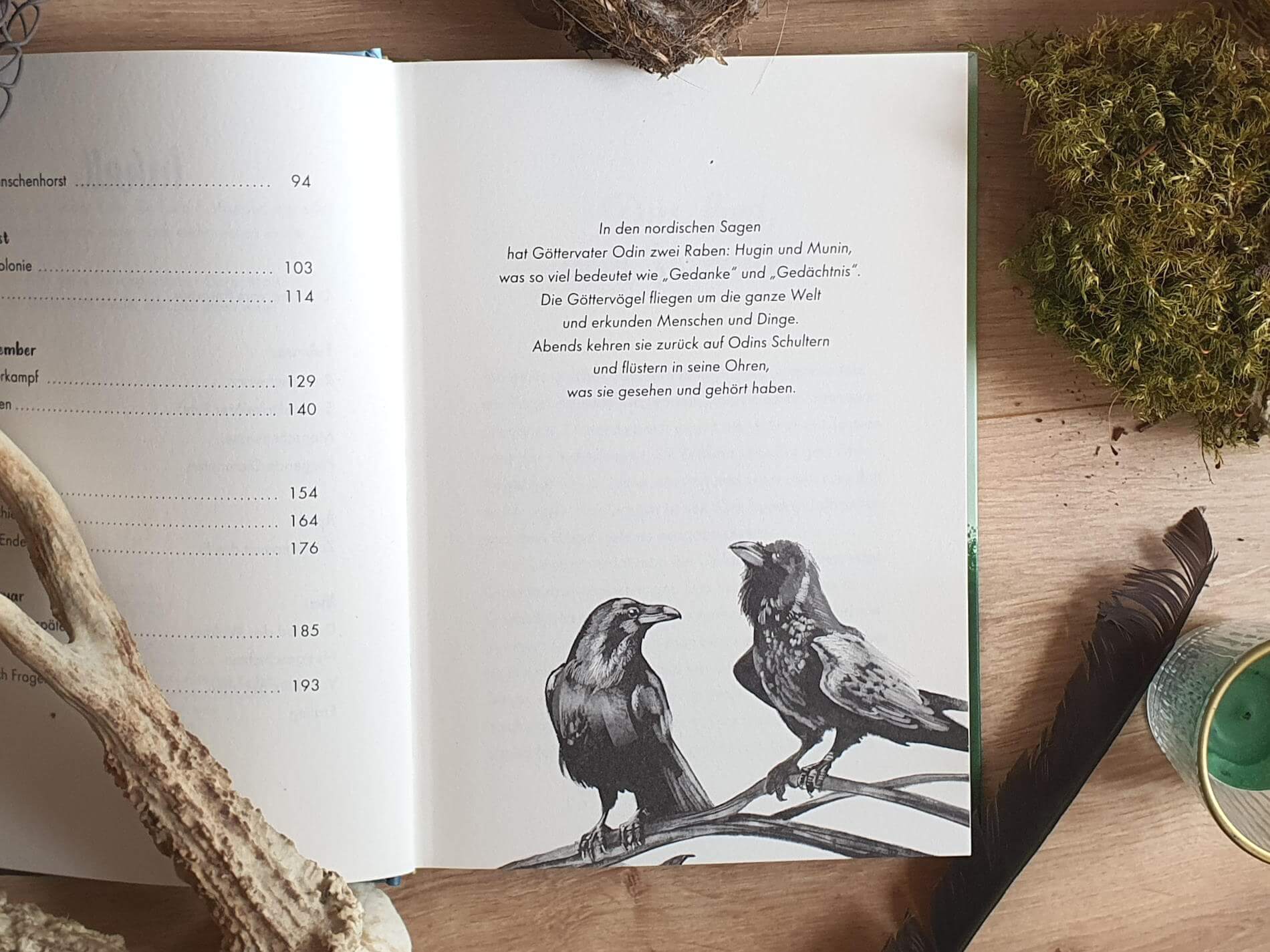 Revier der Raben: Das geheime Leben der Tiere Wald Band 4