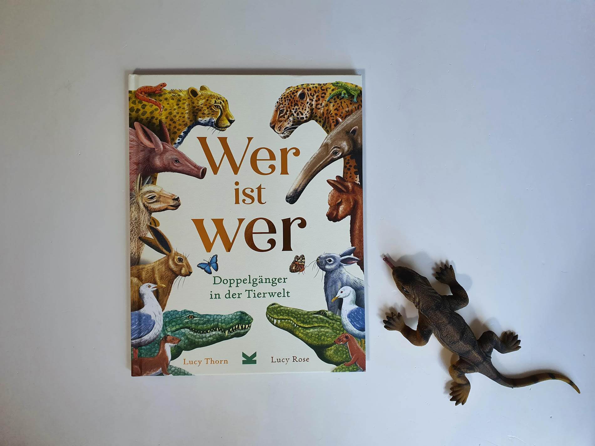 Rabe oder Krähe?: Wer ist wer? - Doppelgänger in der Tierwelt